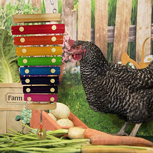 DUJIAOSHOU Wooden Bird Toys,Toys Educational Training Creative Block Discolored Intelligence Toys for Parrot Parakeet (B Toys)