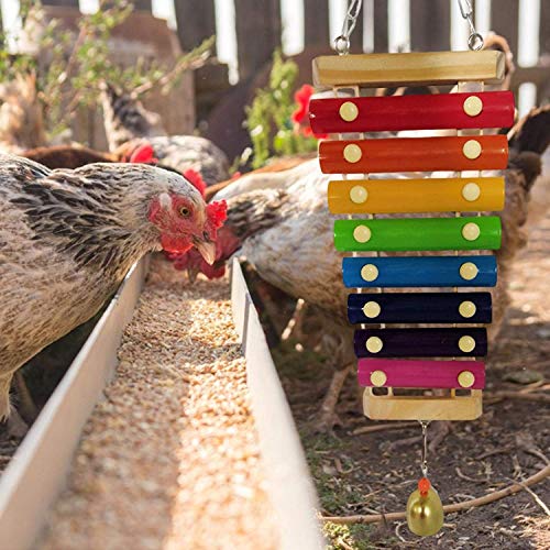 DUJIAOSHOU Wooden Bird Toys,Toys Educational Training Creative Block Discolored Intelligence Toys for Parrot Parakeet (B Toys)