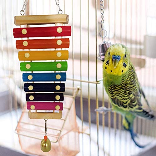 DUJIAOSHOU Wooden Bird Toys,Toys Educational Training Creative Block Discolored Intelligence Toys for Parrot Parakeet (B Toys)
