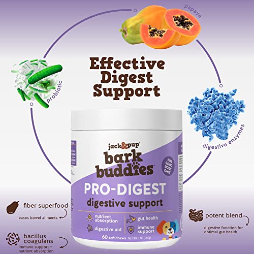 Jack&Pup Probiotic Chews for Dogs - Dog Probiotic Chews Small and Medium - Pro-Digest Bark Buddies (Up to 40 lbs) Puppy Probiotic Dog Chews, Pet Probiotics for Dogs - Probiotics for Puppies (60ct)