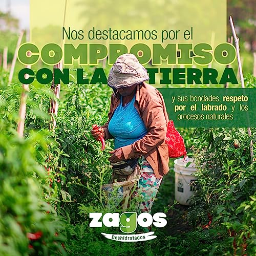 Zagos - Dehydrated sweet onion 100% natural product, dried onions in a 20 grams container (1 PACK)