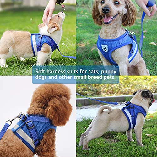 LABOTA Cat Harness and Leash Set for Walking, Escape Proof Soft Adjustable Vest Harnesses with Reflective Strap, Comfort Fit for Pet Kitten Puppy Rabbit, Blue, S(Chest: 11"-13")