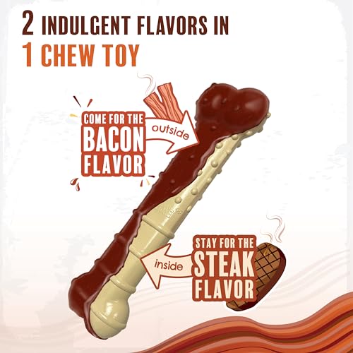 Nylabone Basted Blast Original & Textured Bone Power Chew Toy for Dogs, Dog Toys for Aggressive Chewers, Bacon and Steak Flavor, X-Small - Up to 15 lbs, 2 Pack