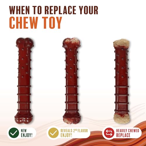 Nylabone Basted Blast Original & Textured Bone Power Chew Toy for Dogs, Dog Toys for Aggressive Chewers, Bacon and Steak Flavor, X-Small - Up to 15 lbs, 2 Pack