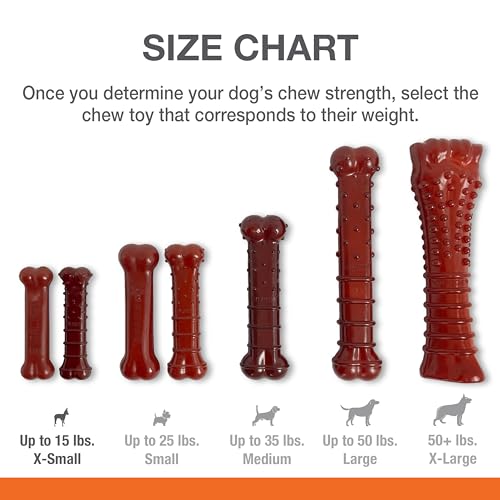 Nylabone Basted Blast Original & Textured Bone Power Chew Toy for Dogs, Dog Toys for Aggressive Chewers, Bacon and Steak Flavor, X-Small - Up to 15 lbs, 2 Pack