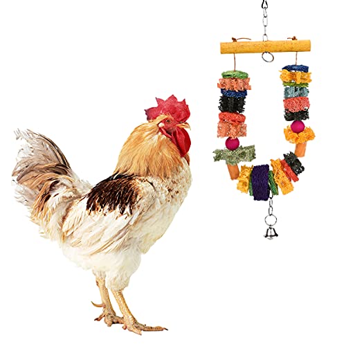 lanermoon Chicken Toys for Hens Colorful Natural Loofah Bird Chewing Toys Hanging Foraging Coop Cage Accessories Toys with Bells for Parrot,Parakeet