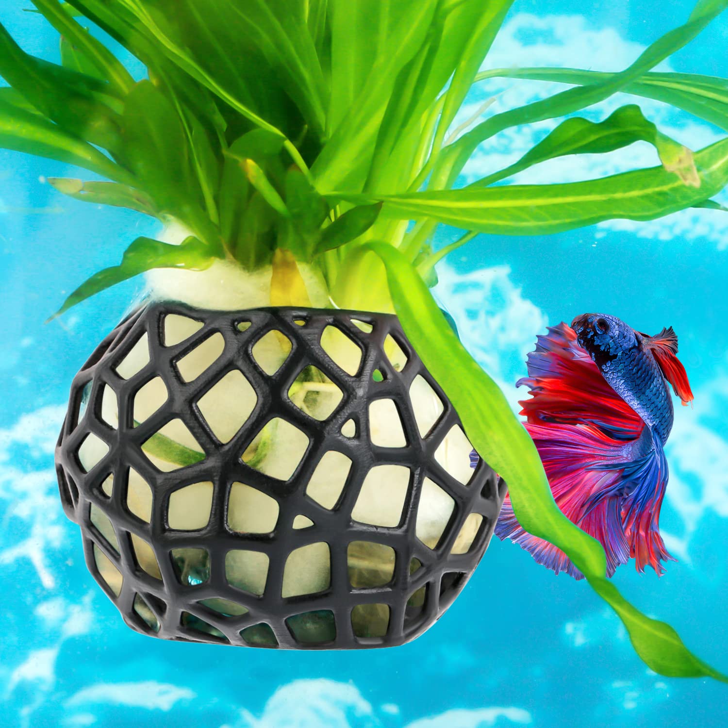 Aquarium Plant Holder, Fish Tank Plant Holder with Suction Cups, Aquarium Planter Cup, Hanging Aquarium Planter Cups, for Aquatic Plant Cultivation and Water Feature Decoratio(Black)