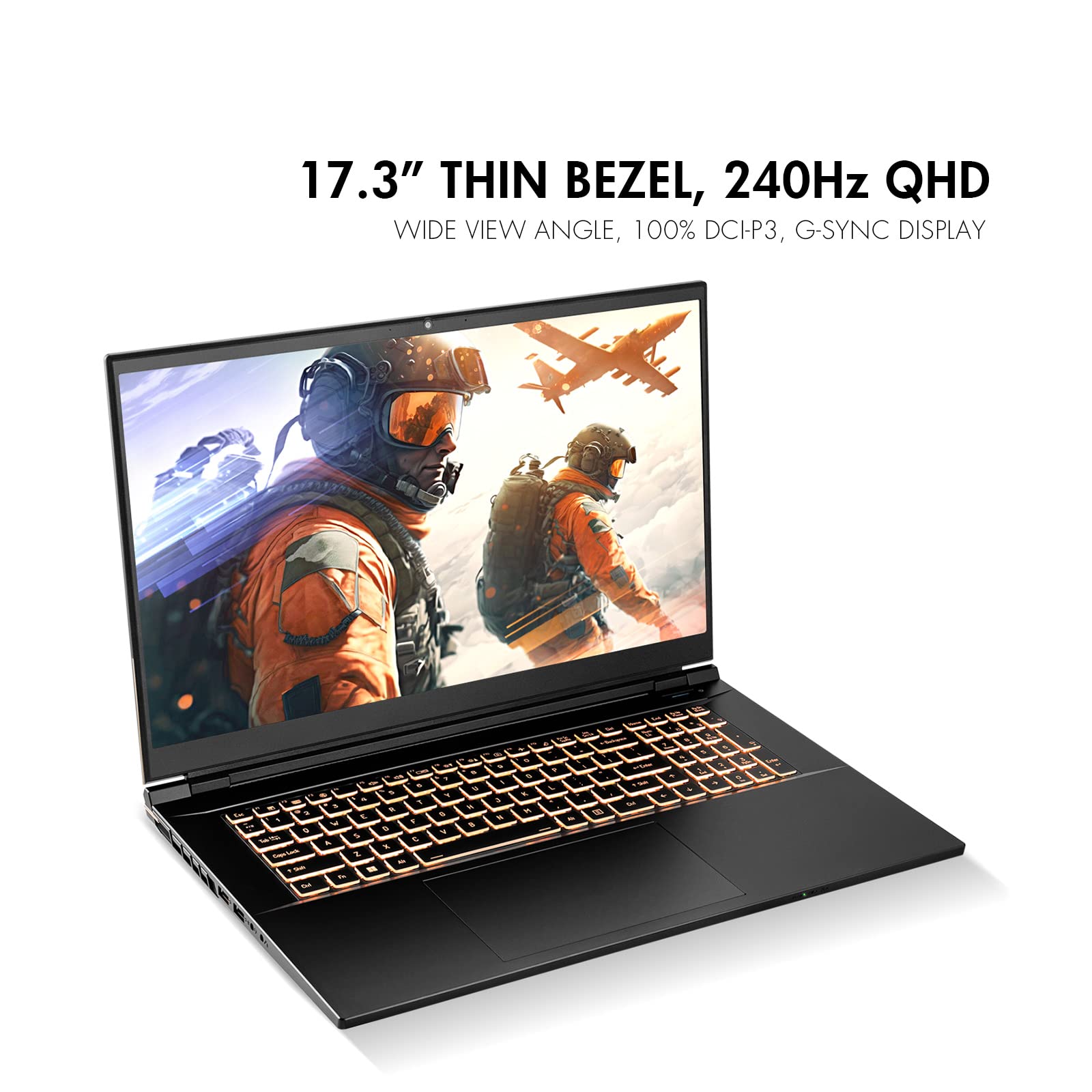 Sager 2023 NP8875D Gaming Laptop, 17.3 Inch QHD 240Hz 100% DCI-P3 G-Sync, Intel i9-13900HX, RTX 4060 8GB, 32GB RAM, 2TB Gen4 NVMe SSD, Win 11