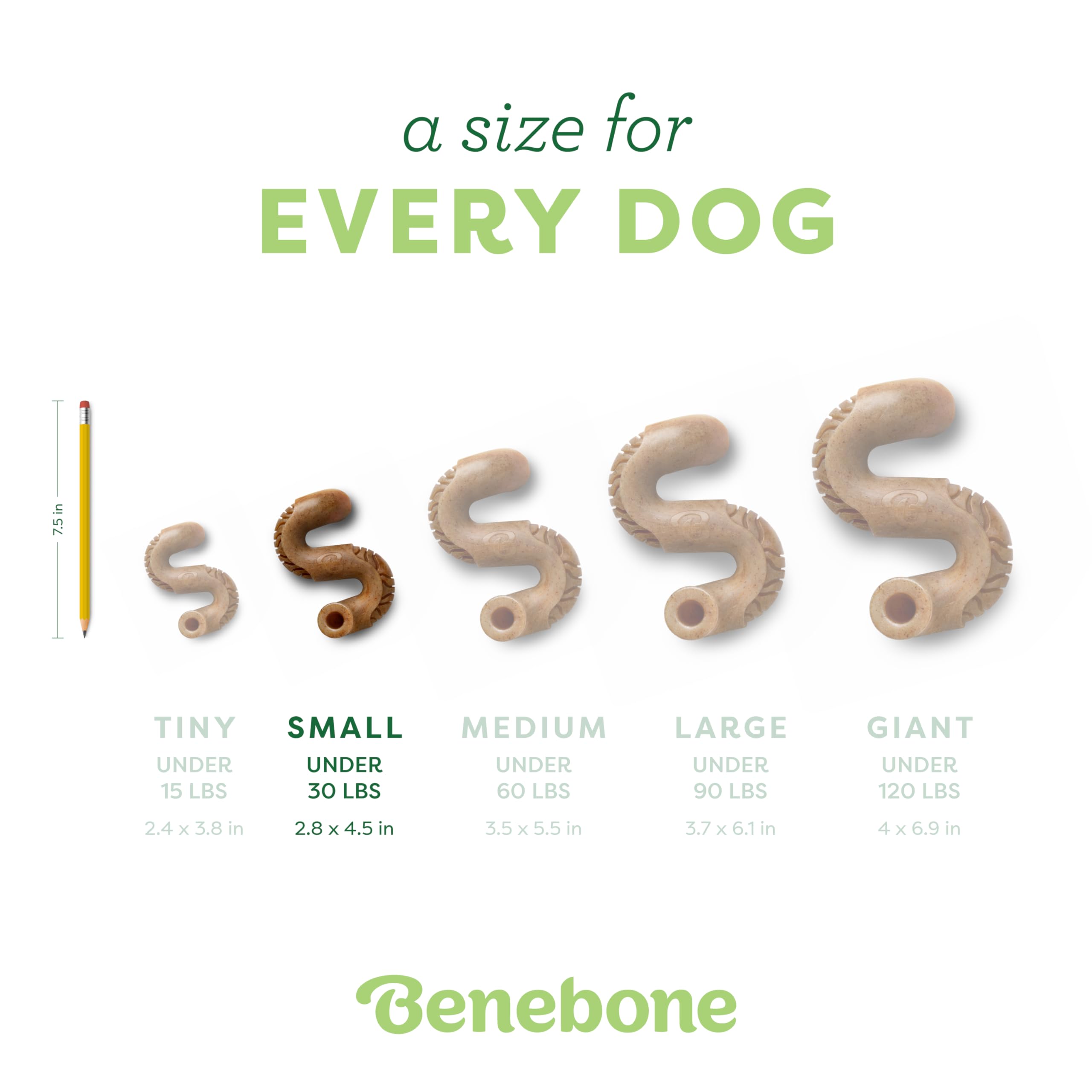 Benebone Tripe Bone Durable Dog Chew Toy for Aggressive Chewers, Real Tripe, Made in USA, Small