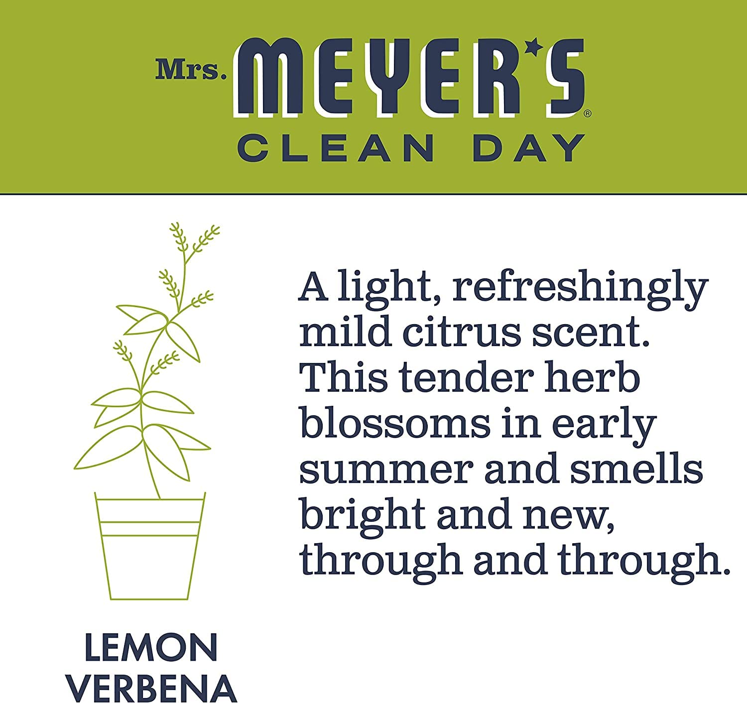 MRS. MEYER'S CLEAN DAY Liquid Dish Soap Refill, Biodegradable Formula, Lemon Verbena, 48 Fl Oz. (Pack of 2)