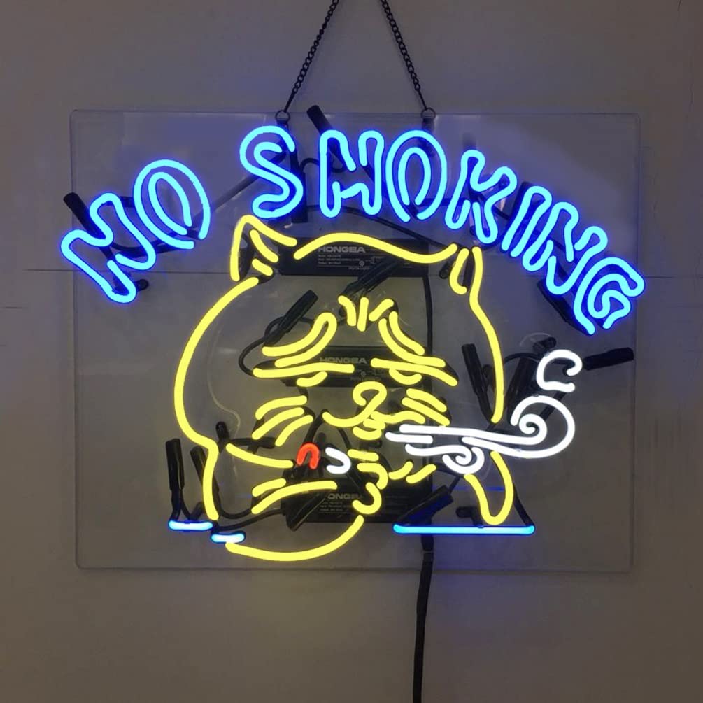 No Smoking Cat Neon Sign Handmade Real Glass Neon Tube Neon Light For Home Bar Man Cave Pub Store Restaurant Wall Décor Artwork Neon Bar Signs 19x15