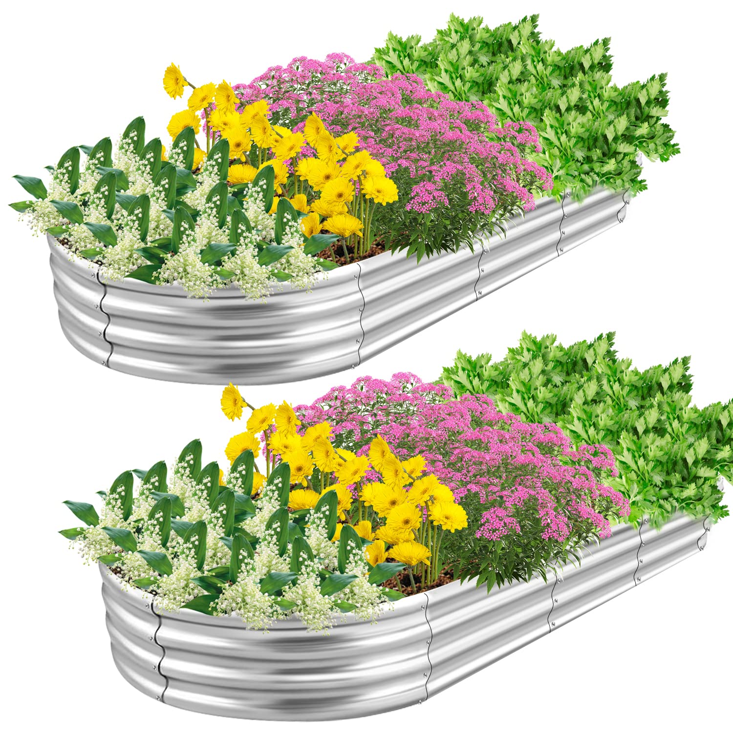 Kettalk 2Pcs Galvanized Raised Garden Bed，6×3×1ft Galvanized Planter Raised Garden Boxes Outdoor, Large Oval Metal Raised Garden Beds for Vegetables,Flowers and Fruits
