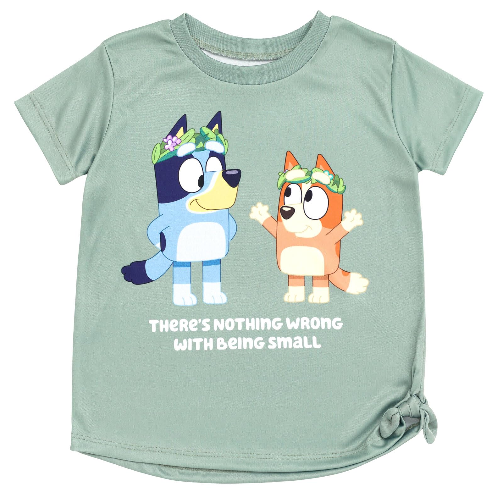 Bluey Bingo Toddler Girls T-Shirt and Leggings Outfit Set Green/Blue 4T
