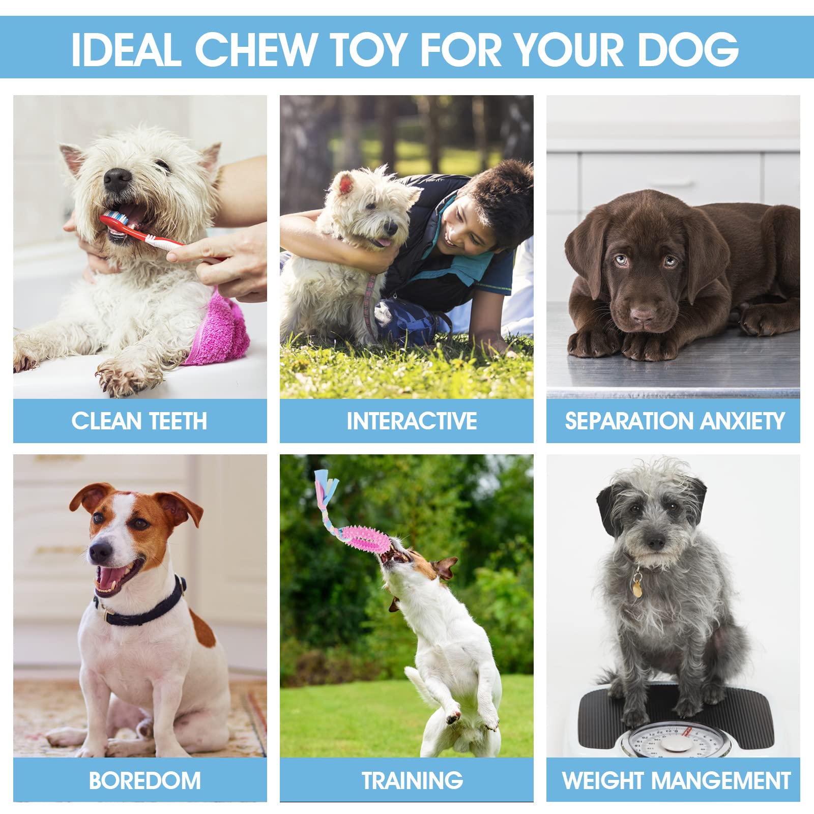 cobee Puppy Toys for Teething Small Dogs, 3 Pcs 360° Deep Clean Small Dog Heart Shaped Chew Ring with Cotton Ropes Interactive Pet Toys for Small Dogs, Oral Teeth Soothes Itching for 2-8 Months Dogs