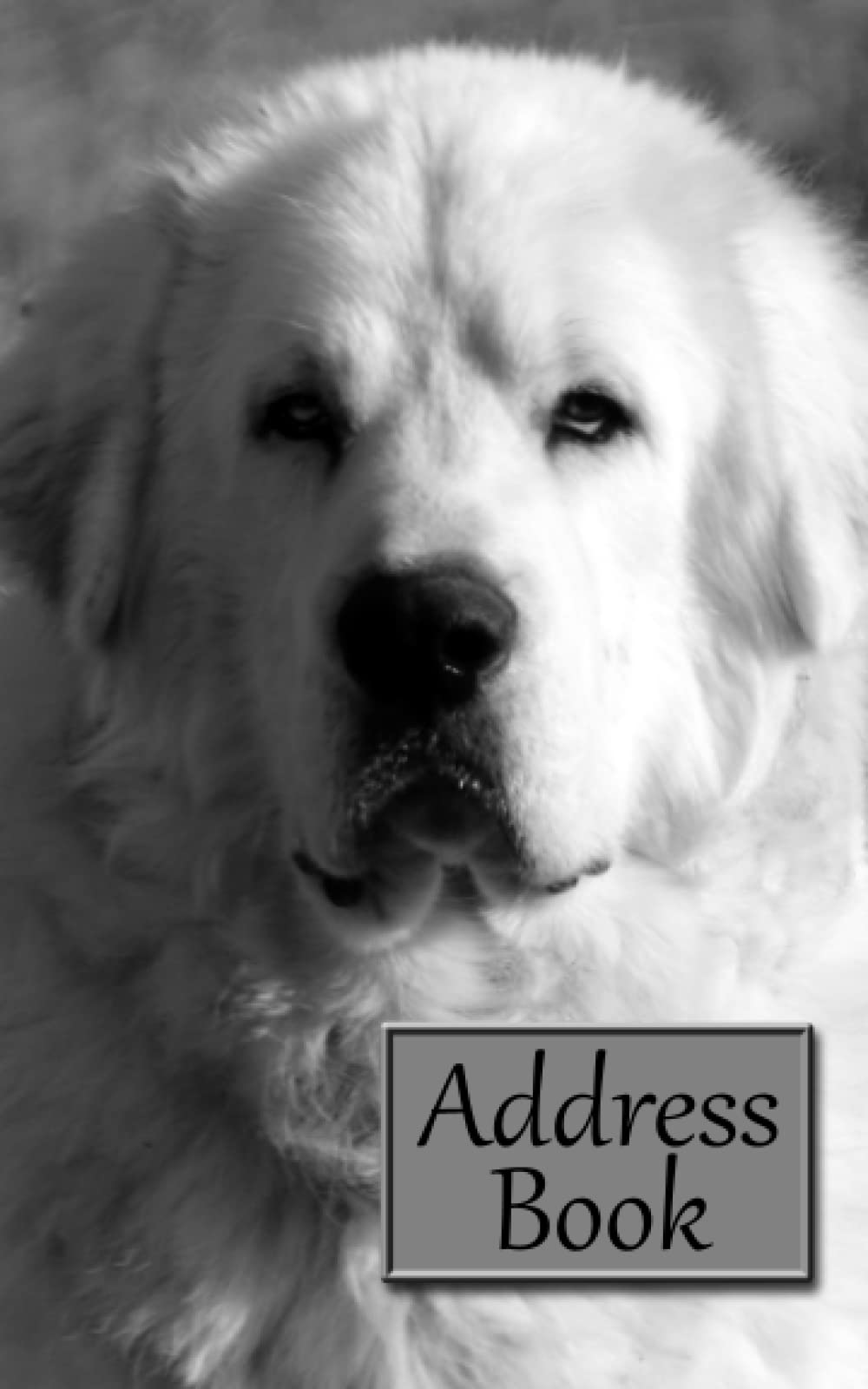 Address Book: Cute Great Pyrenees Dog Address Book: Keep Addresses, Phone Numbers, Emails, Websites, and Birthdays!