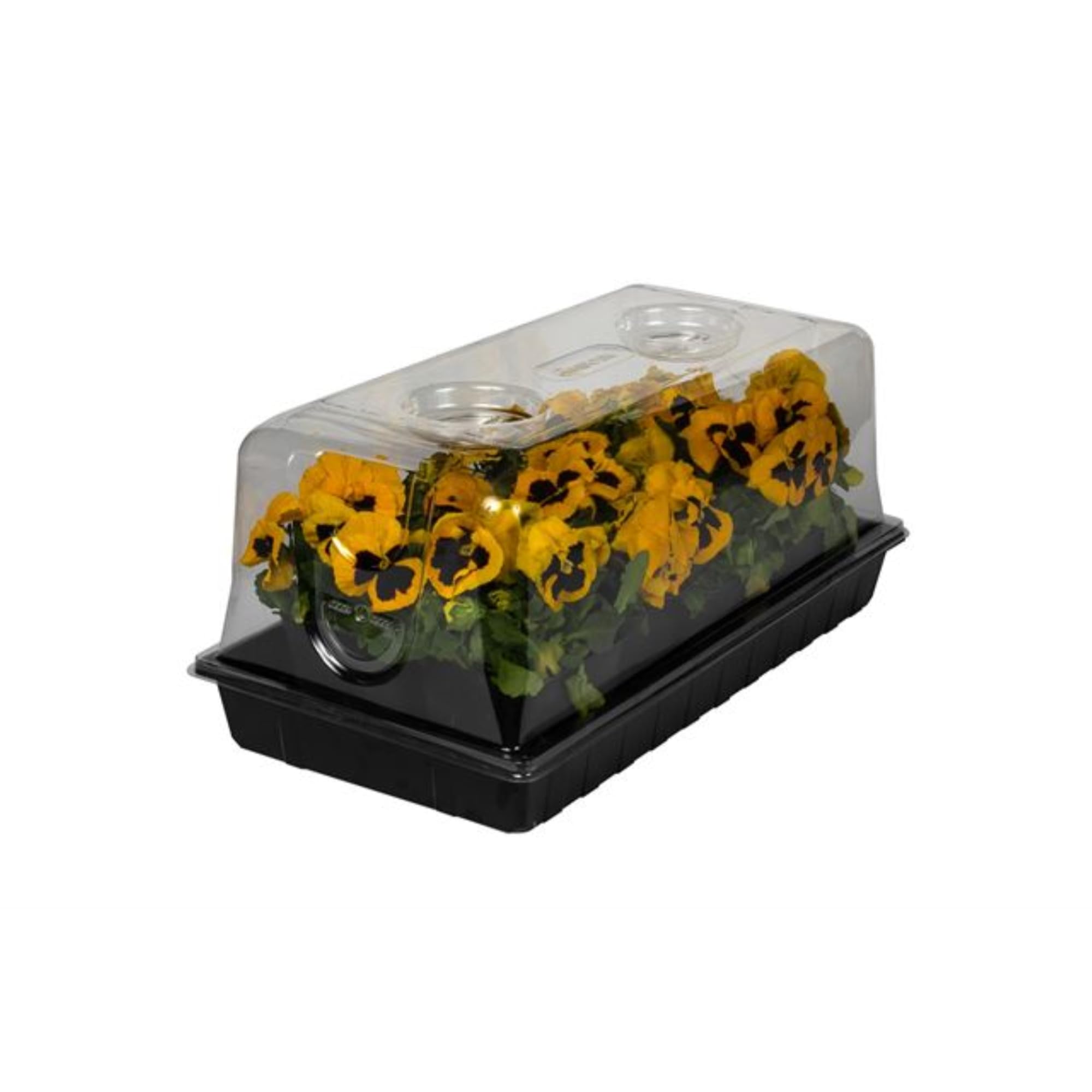 Sunpack SunKit Mini-Greenhouse System for Germination and Propagation