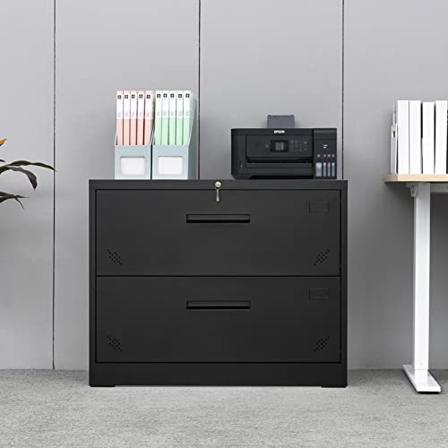 2 Drawer Lateral File Cabinet for Home Office, Filing Cabinets with Lock, Solid Stainless Steel Metal Storage Cabinet for Hanging Legal/Letter/F4/A4 Size Files, Assembly Required (Black)