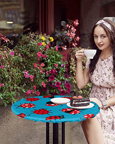 Elastic Fitted Tablecloth Waterproof Table Cloth Cute Ladybug Red Black Carapace Insect Dense Animal Blue Wipeable Round Table Cover for Outdoor Picnic Camping Party