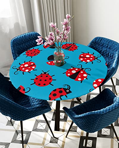 Elastic Fitted Tablecloth Waterproof Table Cloth Cute Ladybug Red Black Carapace Insect Dense Animal Blue Wipeable Round Table Cover for Outdoor Picnic Camping Party
