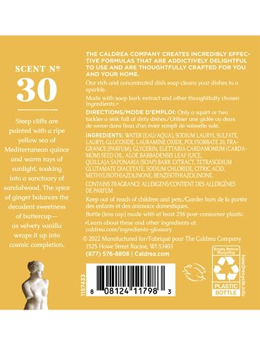Caldrea Dish Soap, Dishwashing Liquid made with Soap Bark, Aloe Vera and Cardamom Seed Oil, Vanilla Quince Santal scent, 16 oz