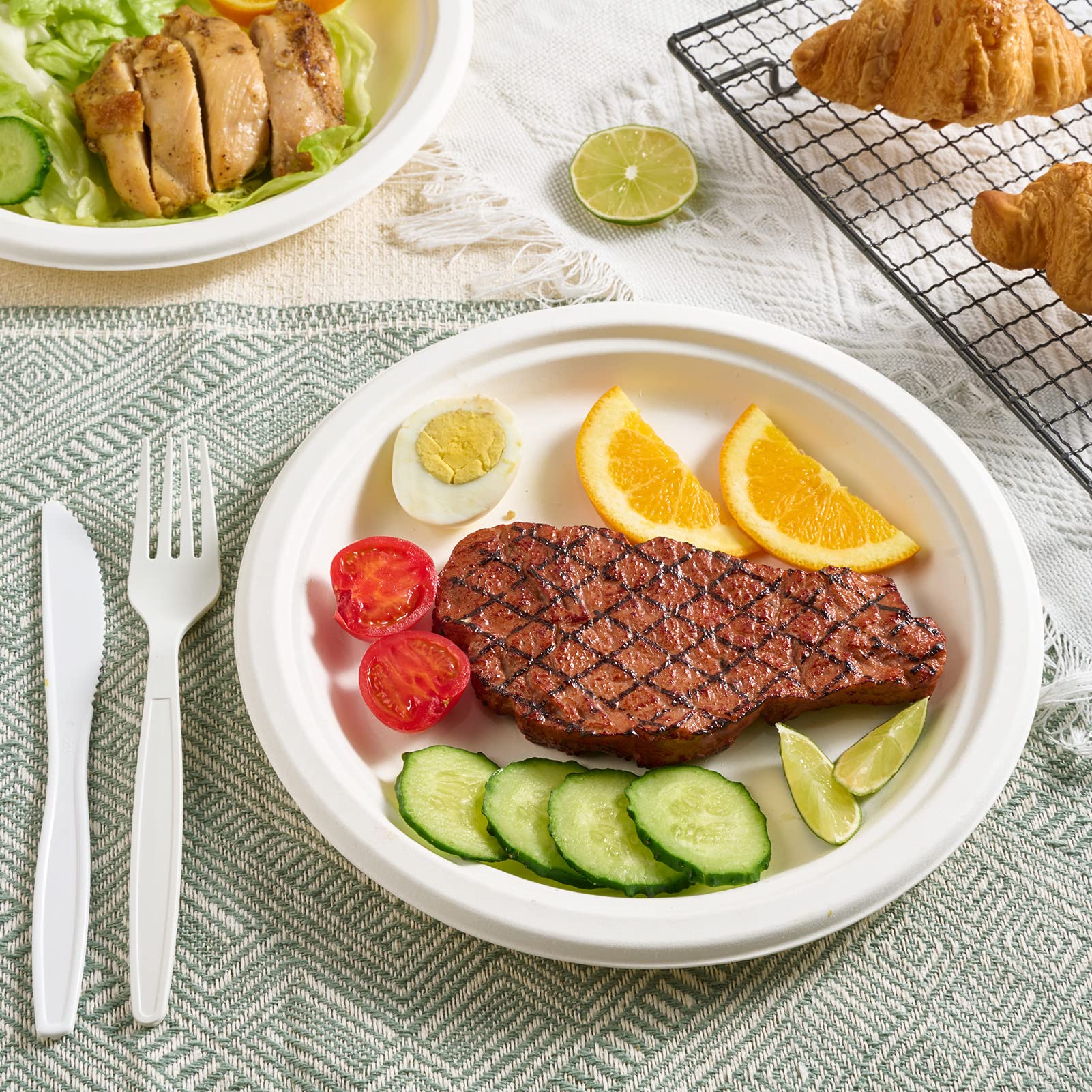 Vplus 150 Pack Paper Plates 9 inch 100% Compostable Plates Heavy-Duty Disposable Paper Plates Bagasse Natural Biodegradable Eco-Friendly Sugarcane Plates(White)