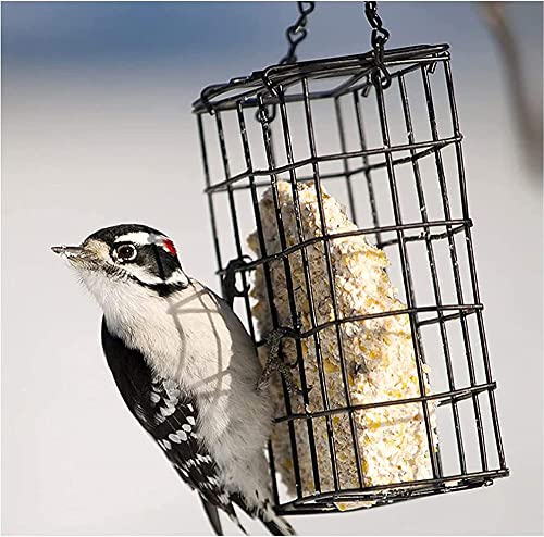Suet Bird Feeders for Outside Hanging - Pack of 2 pcs x Single Suet Cake Capacity Basket/Cage for Feeding Wild Birds Outdoors/Backyard/Garden