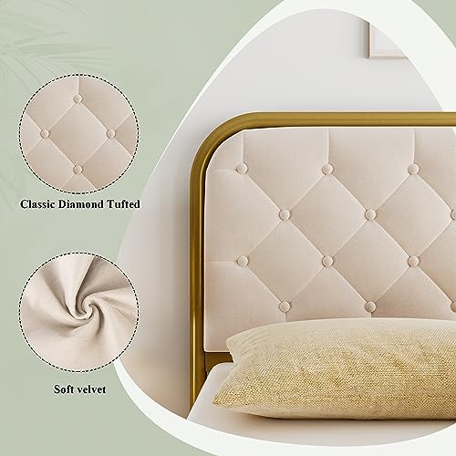 Feonase Full Bed Frame, Upholstered Platform Bed Frame with Diamond Velvet Tufted Headboard, Heavy Duty Metal Slats, 12" Storage Space, No Box Spring Needed, Easy Assembly, Noise-Free, Gold
