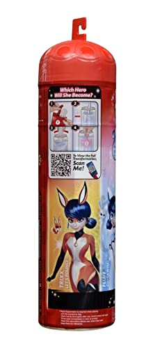 Miraculous: Ladybird and Black Cat Time to Transform Marinette Doll