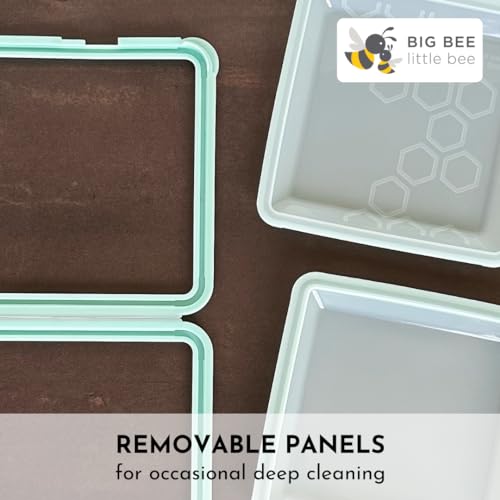 Big Bee, Little Bee - SoftShell Reusable Silicone Food Storage Container with Lid, Easy to Clean, Lays Flat, Snaps Closed, Microwave, Freezer & Dishwasher Safe, As Seen on Shark Tank (Aqua)