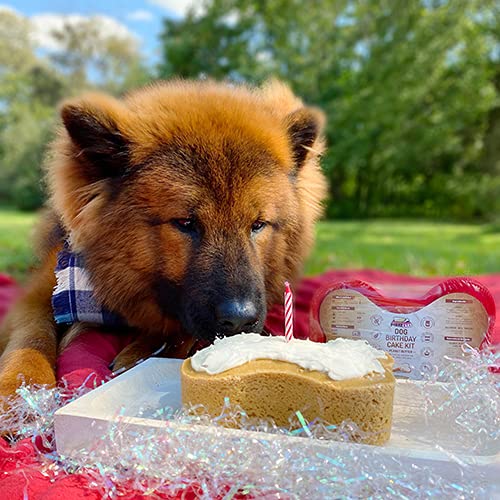 Puppy Cake Dog Birthday Cake Kit- Cake Mix, Icing Mix, Candle and Silicone Pan (Peanut Butter)