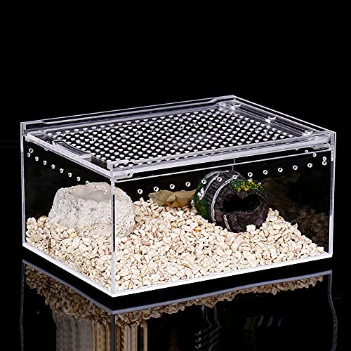 NANEEZOO Magnetic Acrylic Reptile Case - 8"x6"x4" Flat Long Enclosure Transparent Reptile Breeding Box Terrarium Cage - for Tarantula Scorpion Sling Isopods Invertebrates & Insect Mantis