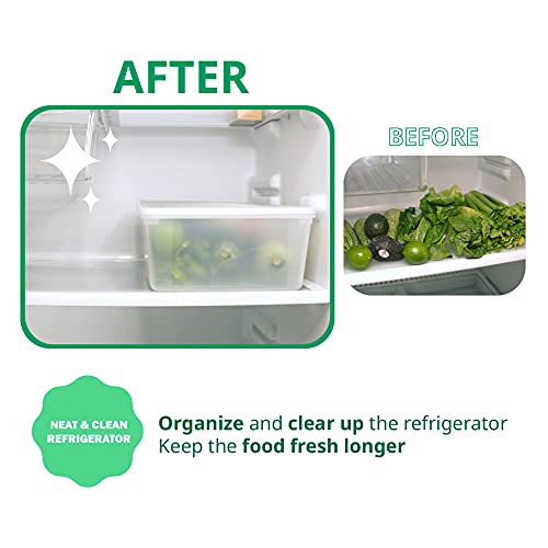 90% Chance of getting TWO for the price of ONE. 2.4 gal Produce Saver Containers for Refrigerator, Pizza Dough Proofing Box, Vegetable Storage Containers for Refrigerator, Pizza Storage Container, Marinating Container, Pizza Dough Box, Veggie Saverā¦
