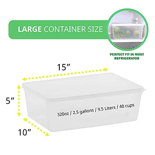 90% Chance of getting TWO for the price of ONE. 2.4 gal Produce Saver Containers for Refrigerator, Pizza Dough Proofing Box, Vegetable Storage Containers for Refrigerator, Pizza Storage Container, Marinating Container, Pizza Dough Box, Veggie Saverā¦