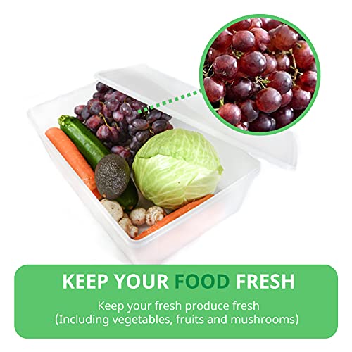 90% Chance of getting TWO for the price of ONE. 2.4 gal Produce Saver Containers for Refrigerator, Pizza Dough Proofing Box, Vegetable Storage Containers for Refrigerator, Pizza Storage Container, Marinating Container, Pizza Dough Box, Veggie Saverā¦