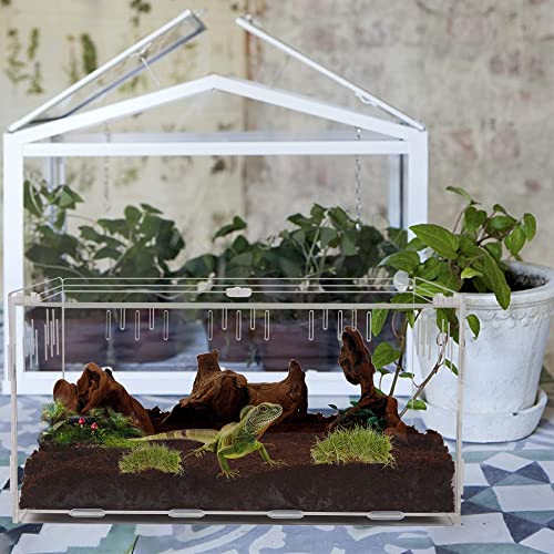 winemana Reptile Terrarium, Tarantula Enclosure, 16" x 11" x 6" Acrylic Large Feeding Tarantula Habitat Box for Small Animals Insect Home Office