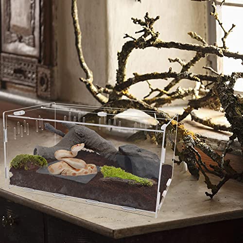 winemana Reptile Terrarium, Tarantula Enclosure, 16" x 11" x 6" Acrylic Large Feeding Tarantula Habitat Box for Small Animals Insect Home Office