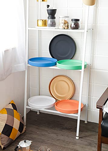 Woiida 12 Inch Large Ceramic Saucer - Ceramic Drainage Tray for Plant Pot (Matte White)