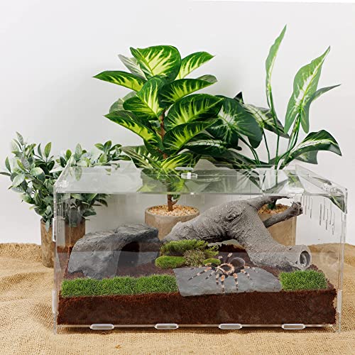 winemana Reptile Terrarium, Tarantula Enclosure, 16" x 11" x 6" Acrylic Large Feeding Tarantula Habitat Box for Small Animals Insect Home Office