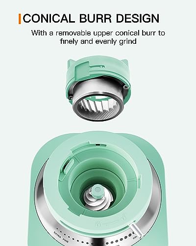 Electric Conical Burr Coffee Grinder, Adjustable Burr Mill with 19 Precise Grind Setting, Stainless Steel Coffee Grinder Electric for Drip, Percolator, French Press, Espresso, Green