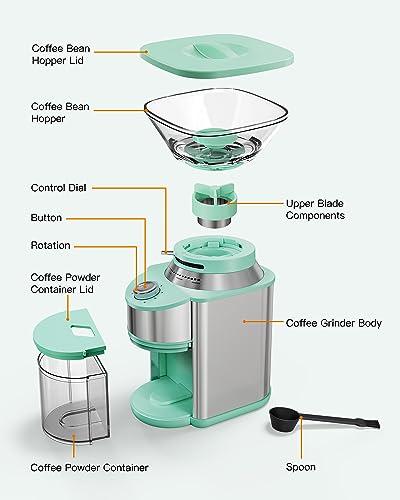 Electric Conical Burr Coffee Grinder, Adjustable Burr Mill with 19 Precise Grind Setting, Stainless Steel Coffee Grinder Electric for Drip, Percolator, French Press, Espresso, Green