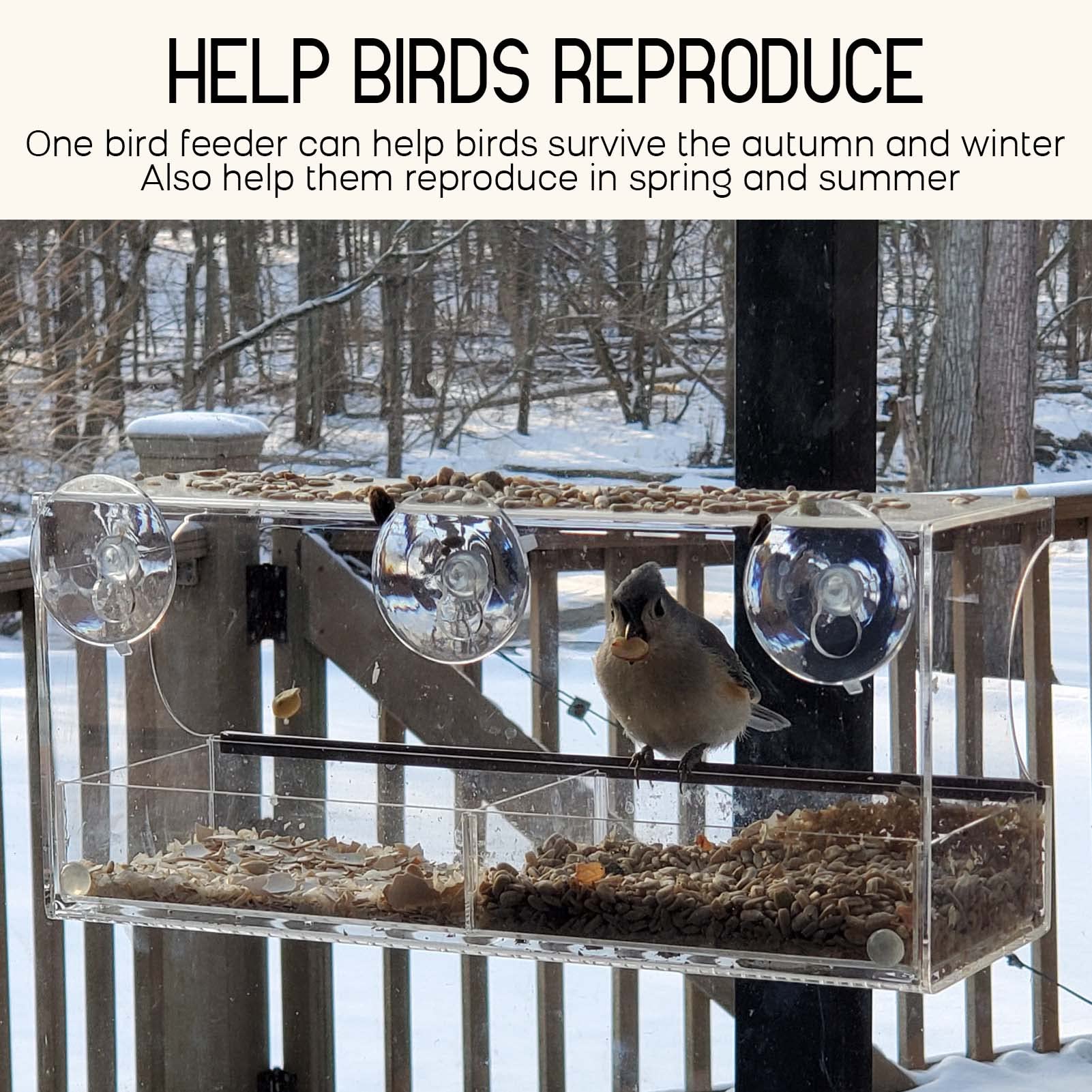 MrCrafts Window Bird Feeder for Outside with Strong Suction Cups, Fits for Cardinals, Finches, Chickadees etc