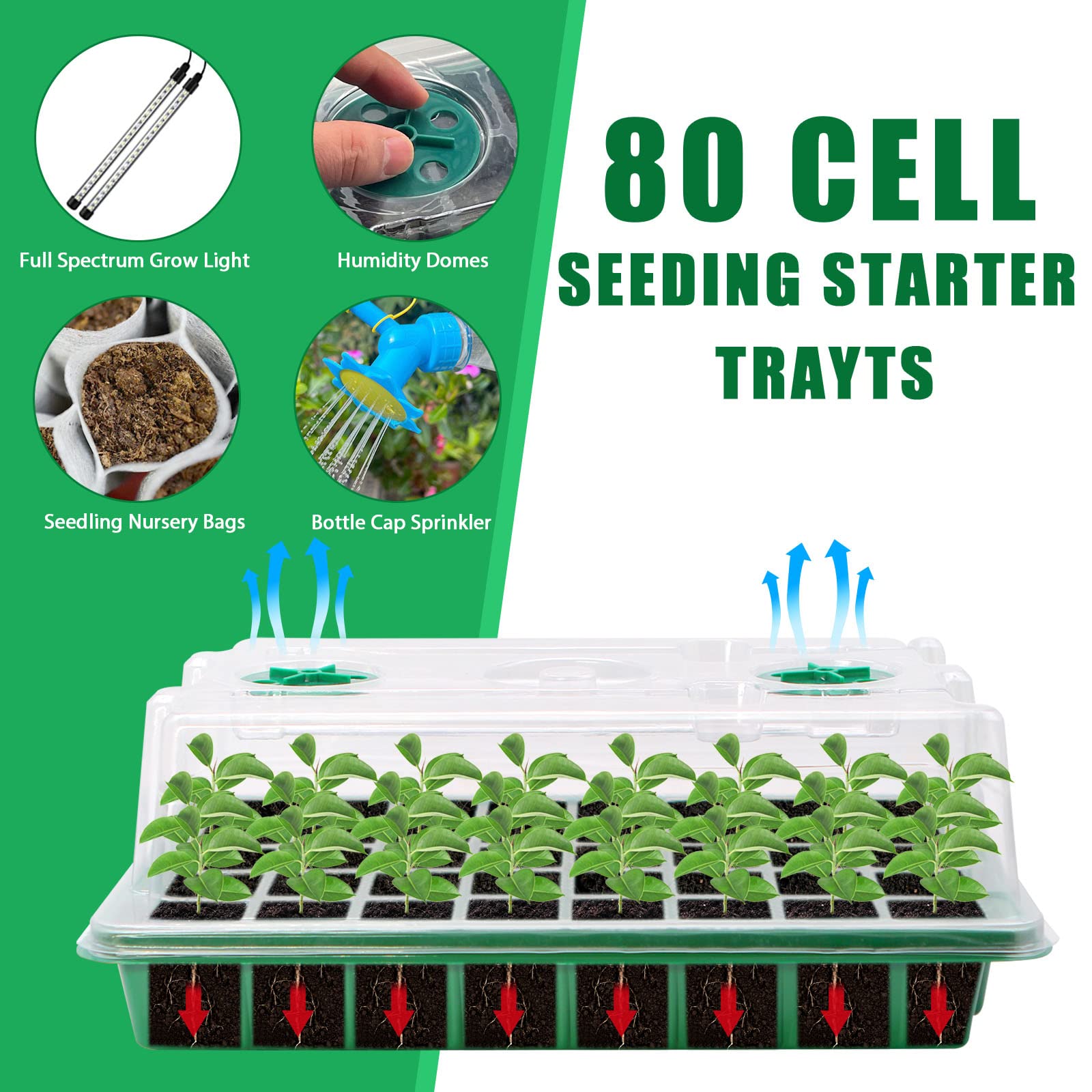 MQFORU 2 Pack Seed Starter Trays with Grow Light, 80 Cell Seed Starter Kit with Timer, Adjustable Domes, Plant Starter Trays Kit for Propagation, Cloning Plants, Seed Germination