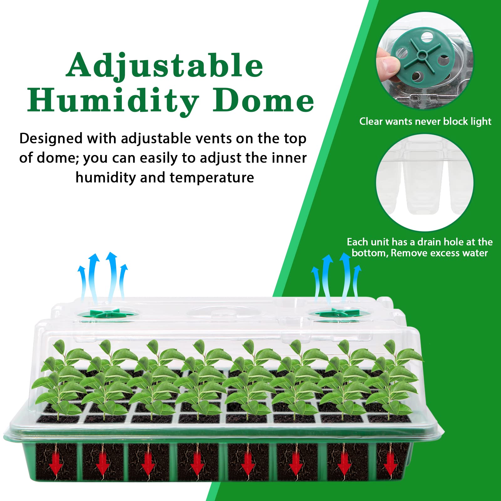 MQFORU 2 Pack Seed Starter Trays with Grow Light, 80 Cell Seed Starter Kit with Timer, Adjustable Domes, Plant Starter Trays Kit for Propagation, Cloning Plants, Seed Germination