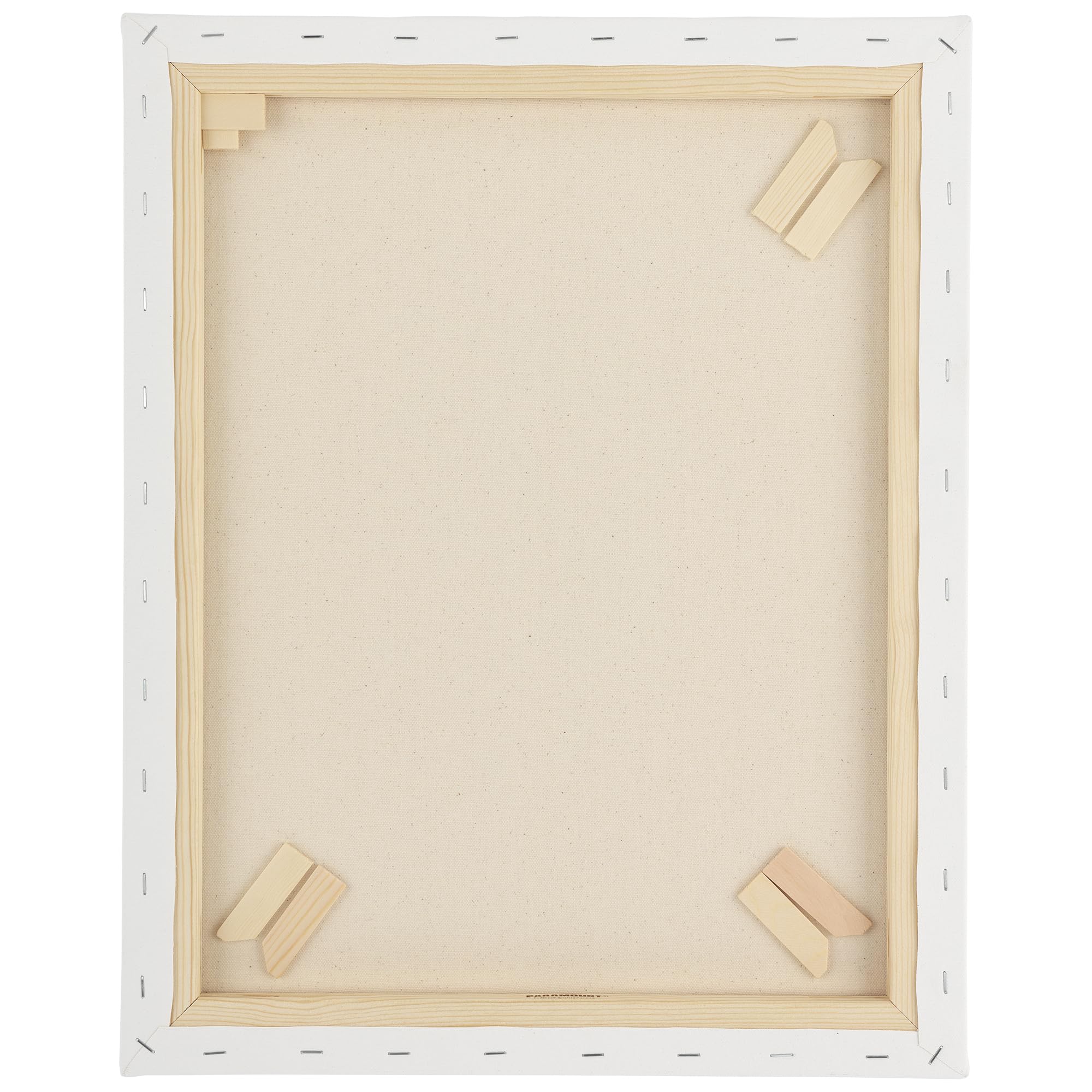 Paramount Pre-Stretched Canvas for Painting- 2-Pack, 8x10" Triple Primed White Canvases- 11/16" Deep, 100% Cotton Stretched Canvas for All Media, Medium Tooth, Back-Stapled, 12oz Primed Weight
