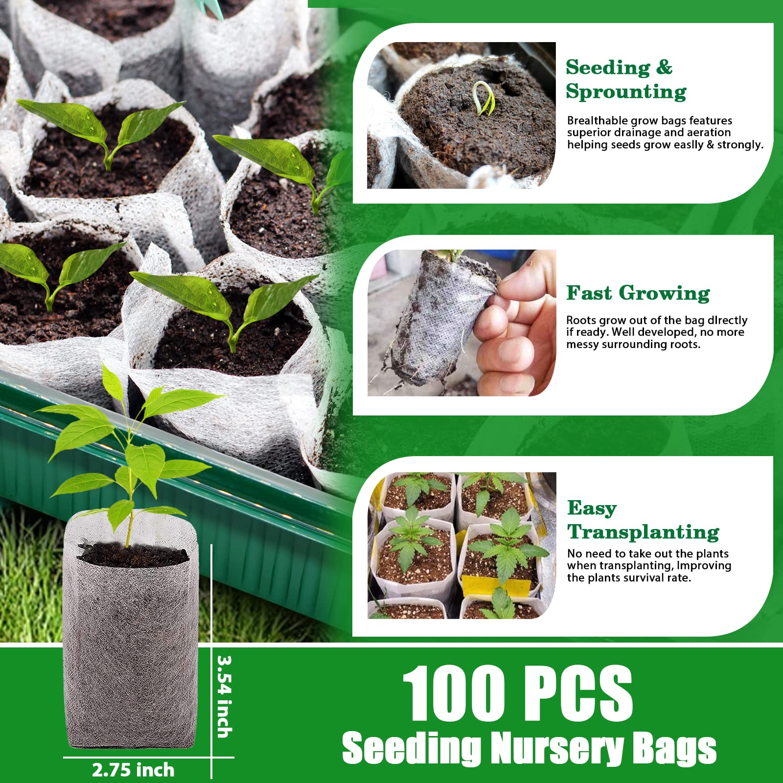 MQFORU 2 Pack Seed Starter Trays with Grow Light, 80 Cell Seed Starter Kit with Timer, Adjustable Domes, Plant Starter Trays Kit for Propagation, Cloning Plants, Seed Germination