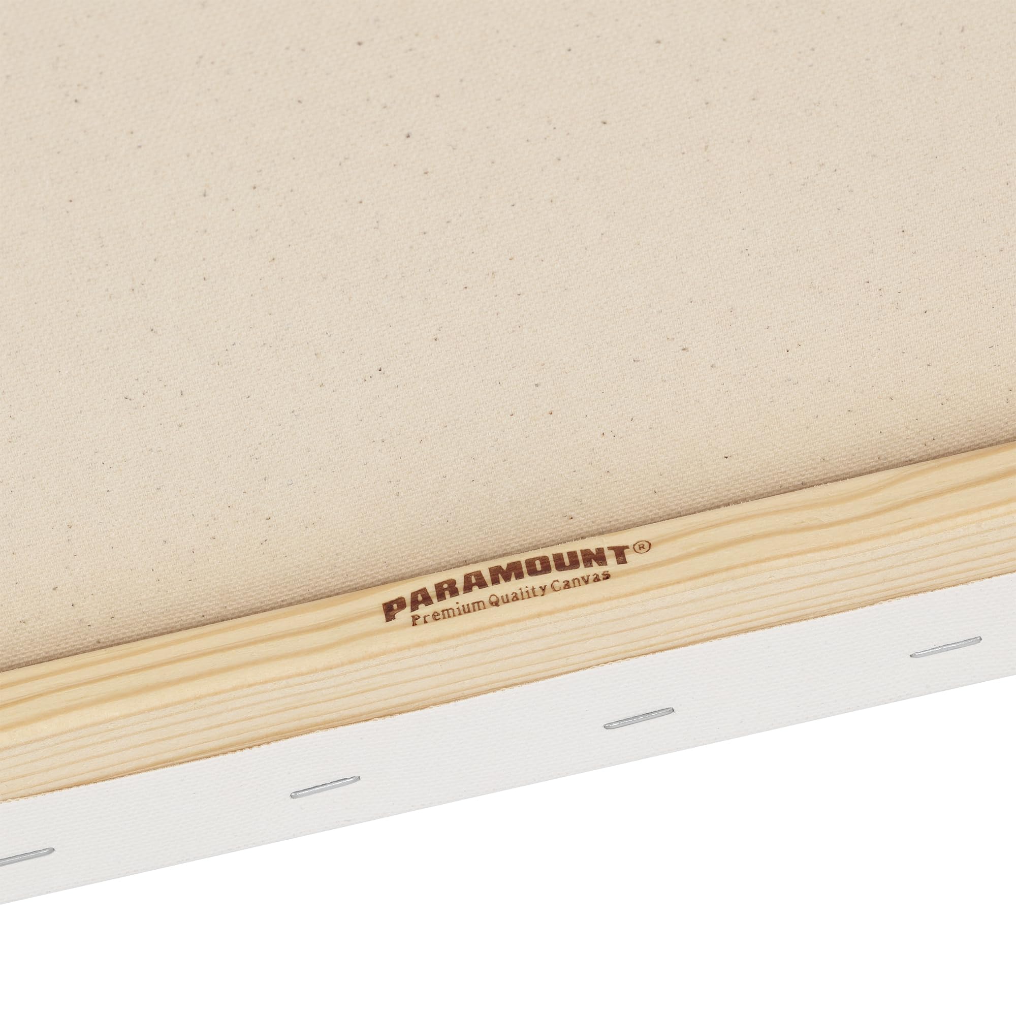 Paramount Pre-Stretched Canvas for Painting- 2-Pack, 8x10" Triple Primed White Canvases- 11/16" Deep, 100% Cotton Stretched Canvas for All Media, Medium Tooth, Back-Stapled, 12oz Primed Weight