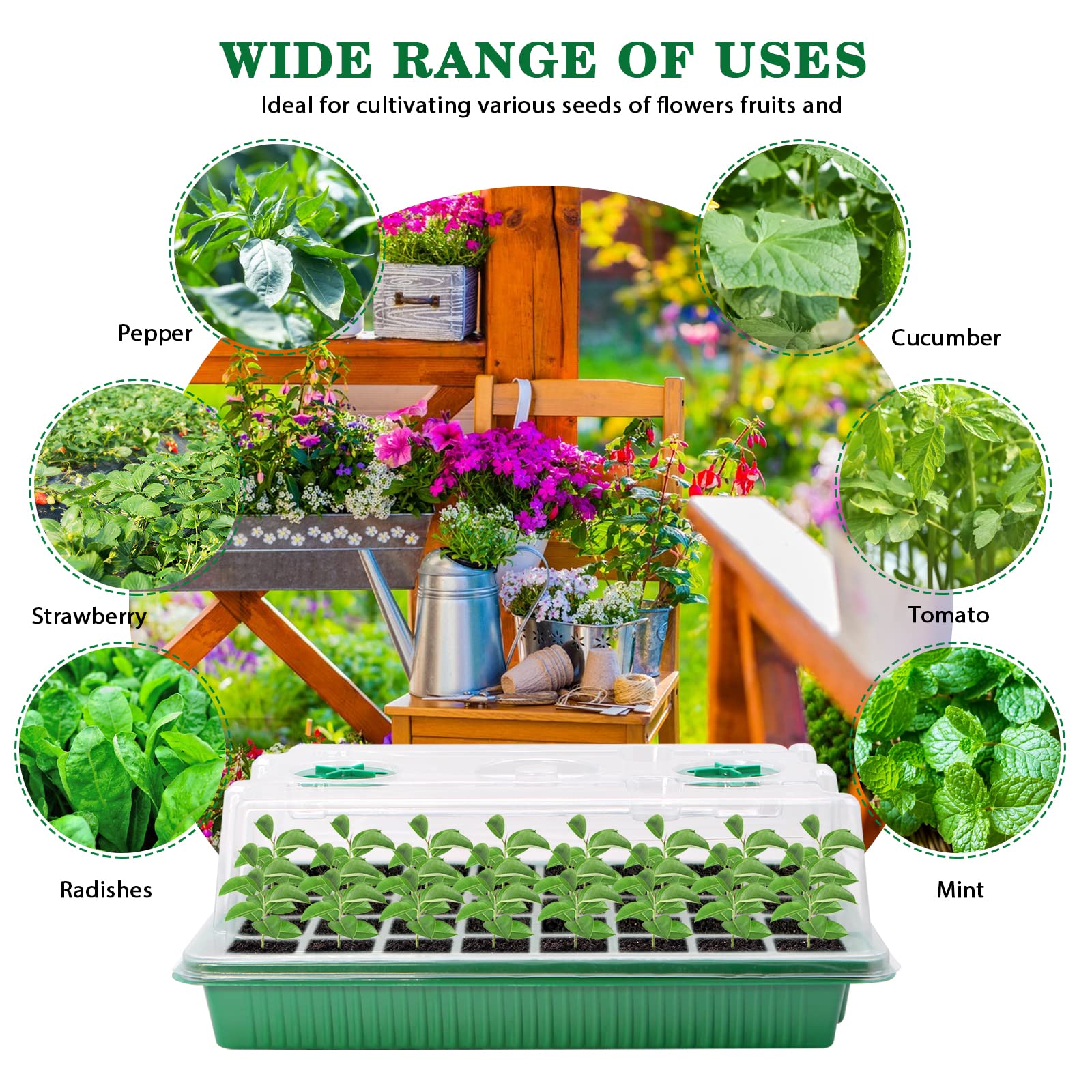MQFORU 2 Pack Seed Starter Trays with Grow Light, 80 Cell Seed Starter Kit with Timer, Adjustable Domes, Plant Starter Trays Kit for Propagation, Cloning Plants, Seed Germination