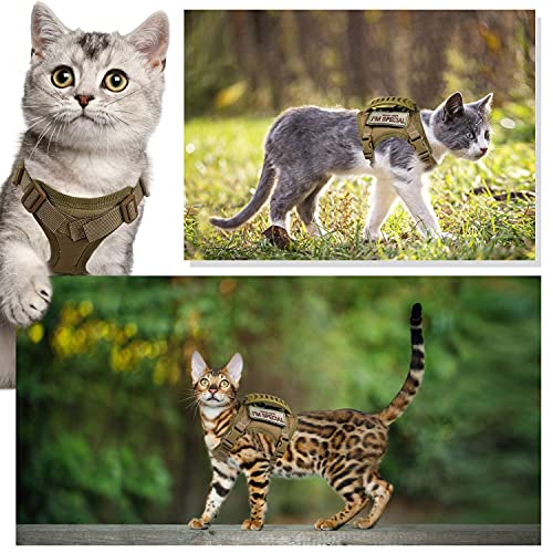 Tactical Cat Harness for Walking Escape Proof, Soft Mesh Adjustable Pet Vest Harness for Large Cat,Small Dog