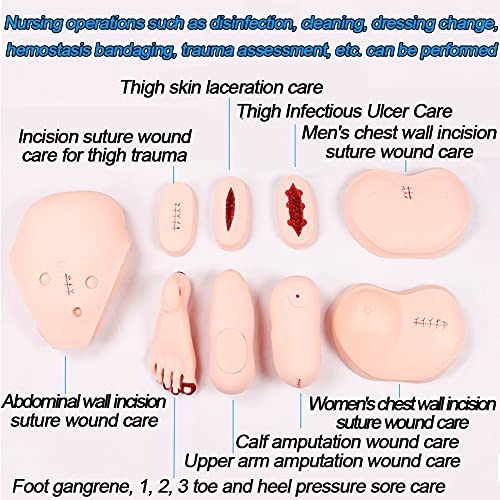 BIUYYY Nursing Manikin PVC Nursing Training Mannequins with Simulation Visceral and Replaceable Wound Modules and Storage Bag for Students Education Teaching Medical Training Skills