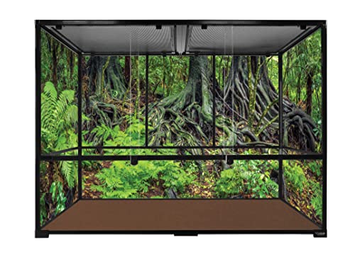 Carolina Custom Cages Terrarium, Bio Deep 48Lx24Wx36H, Easy Assembly